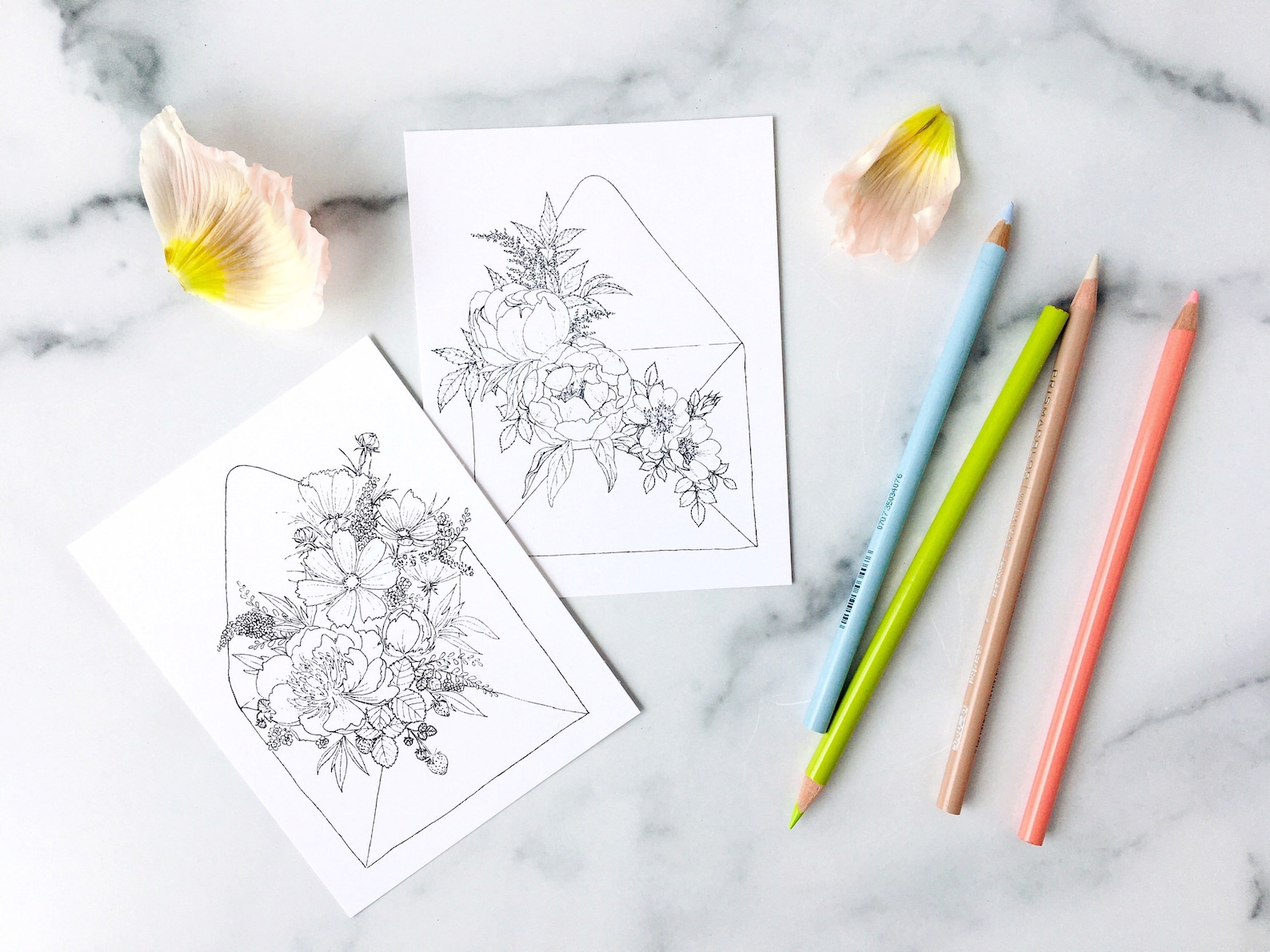 Botanical Postcard Set 6 Hand Drawn Bouquets in Envelopes | Etsy