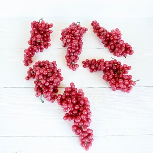 Vintage Red Grape Clusters Set of Six | Etsy