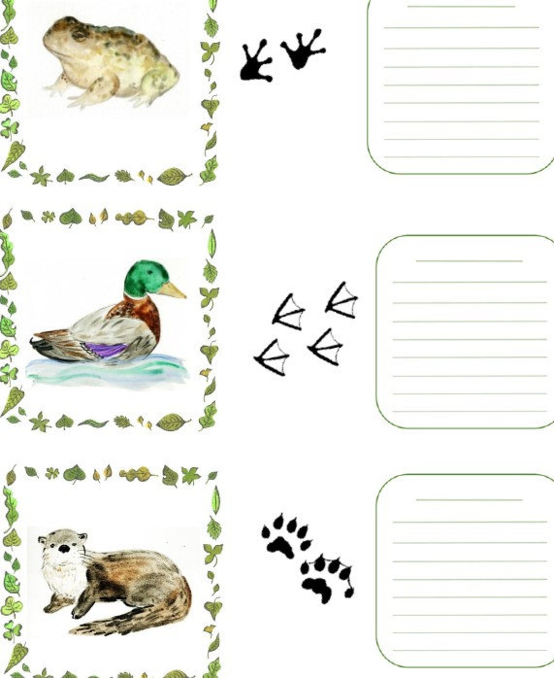 The Raft Mini Picture Book Guide - Etsy