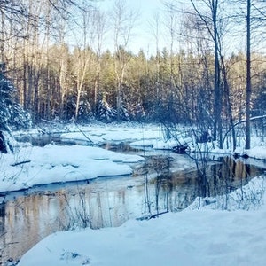 Over the River and Through the Woods Mini Literature Guide | Etsy