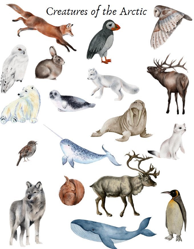 Welcome Back Sun Picture Book Mini Guide - Etsy Canada