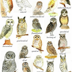 Owl Learning Set - Etsy