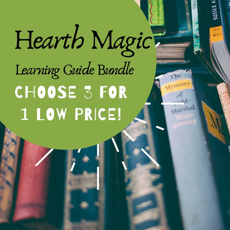 Pick Three- Literature Guide Bundle - Etsy