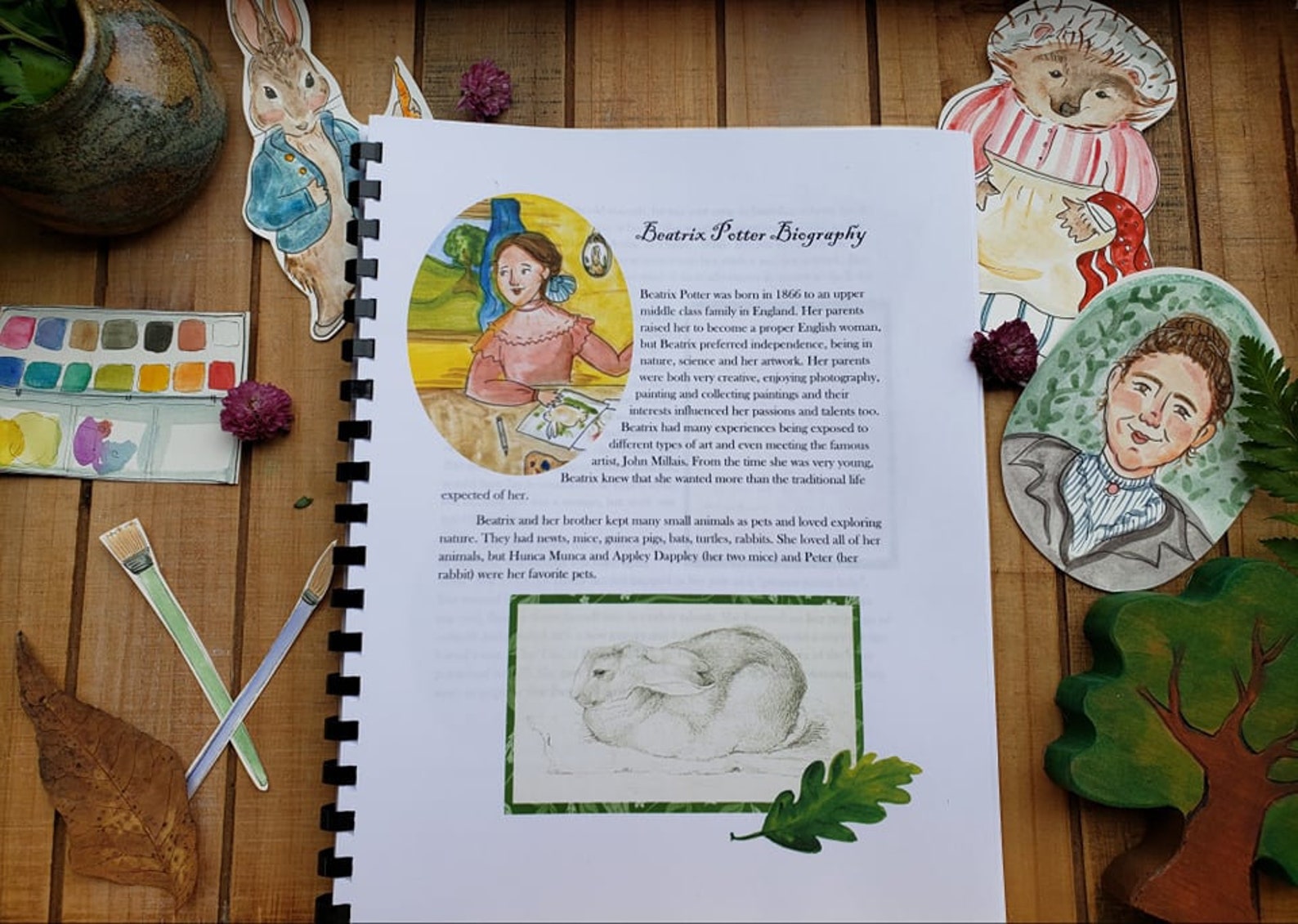 Beatrix Potter Hero Set - Etsy