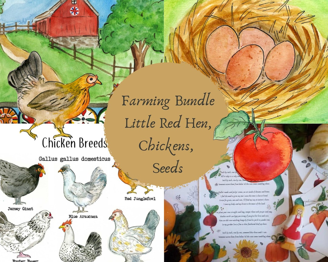 All About Chickens Mini Learning Set - Etsy