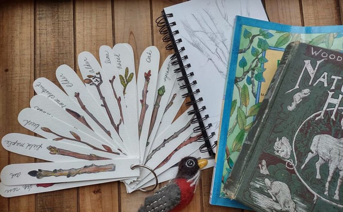 Tree Branch Identification Printable | Etsy UK