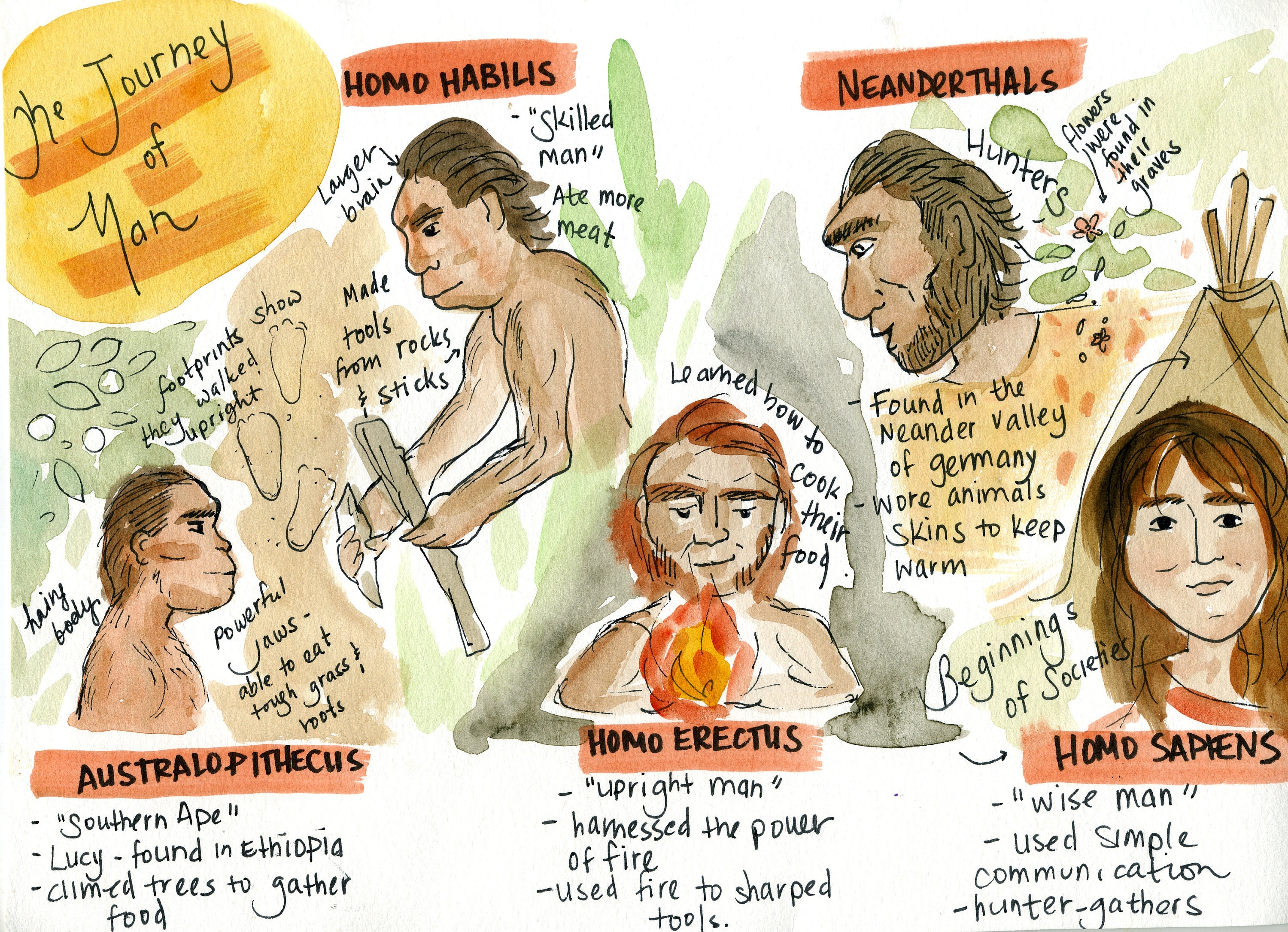 Hearth Magic Prehistory Guide - Etsy UK