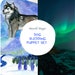 Dog Sledding Puppet Set With Learning Posters - Iditarod - Etsy