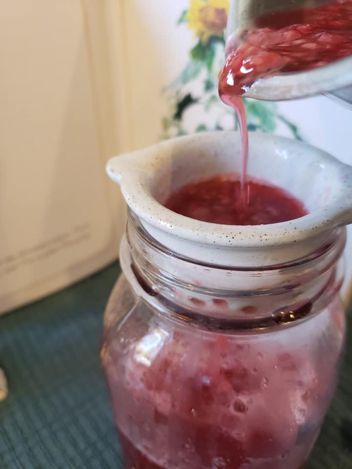 Anne of Green Gables Family Learning Guide PDF | Etsy