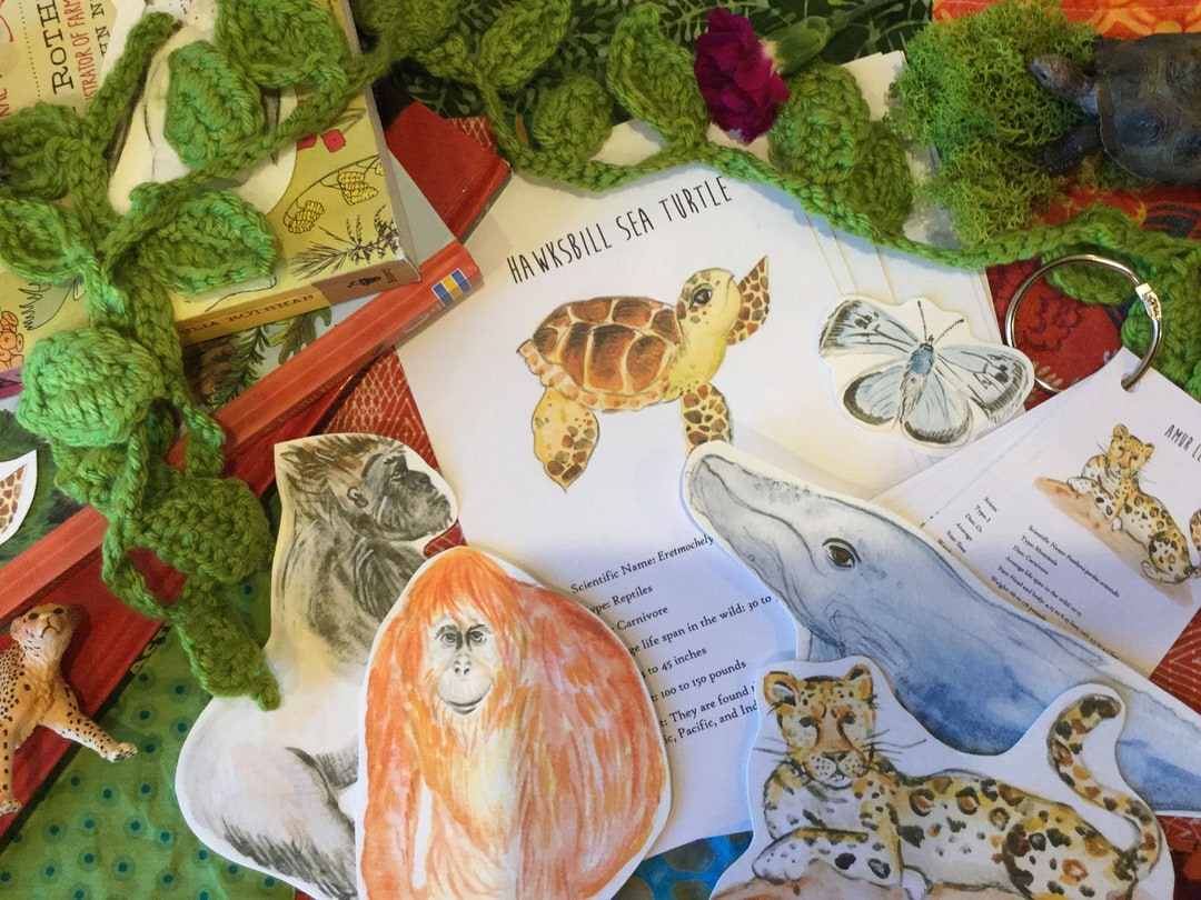 SALE!!! Earth Day Endangered Animals Fact Card and Coloring Sheet Set ...