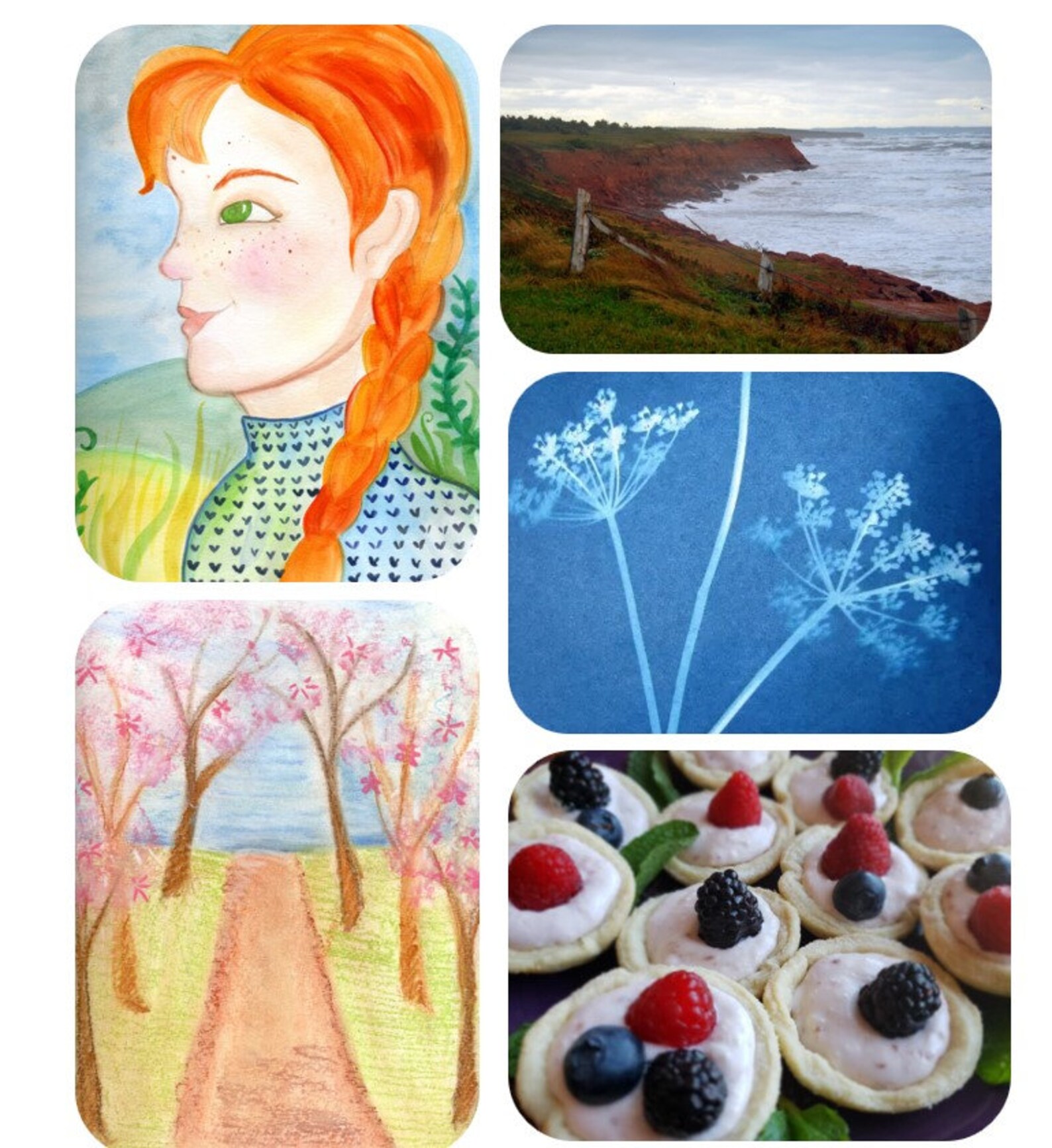 Anne of Green Gables Family Learning Guide PDF | Etsy