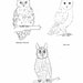 Owl Learning Set - Etsy