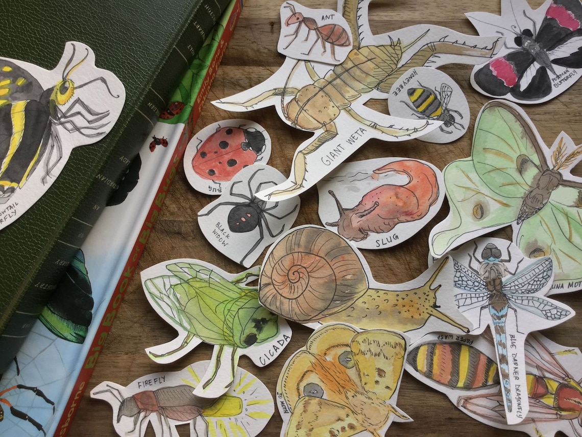 Bugs and Slugs Matching Game Catching Game Educational | Etsy