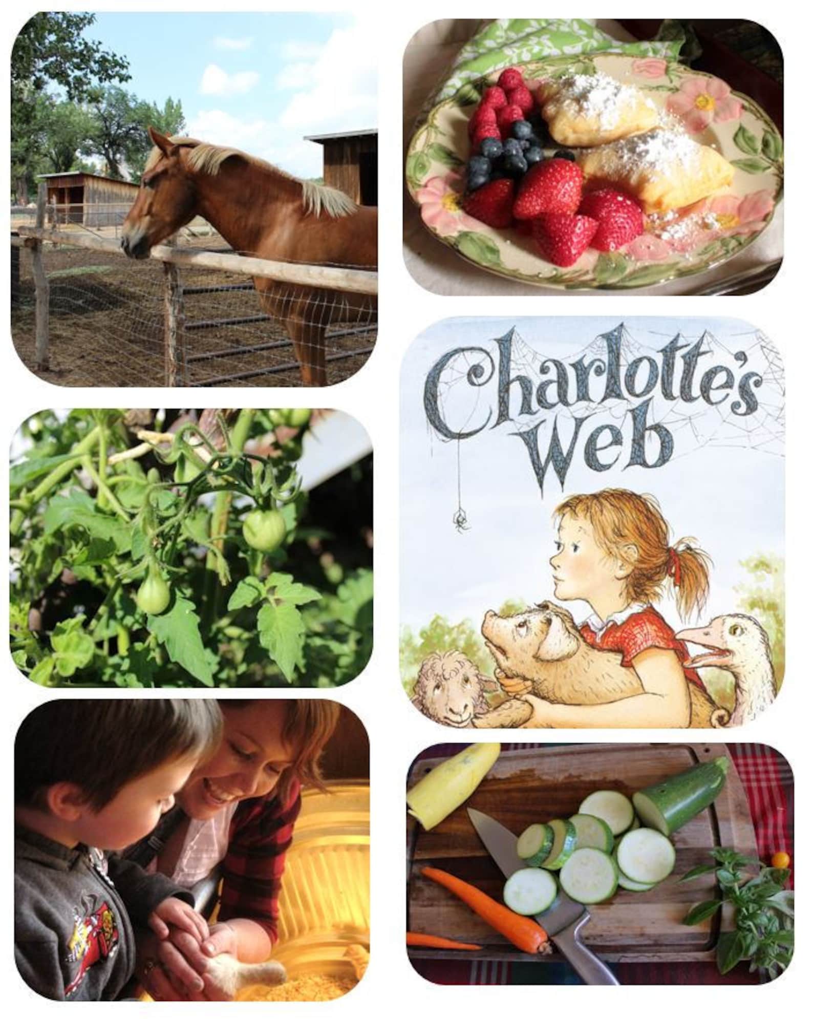 Charlotte's Web Family Learning Guide Ready to Print - Etsy