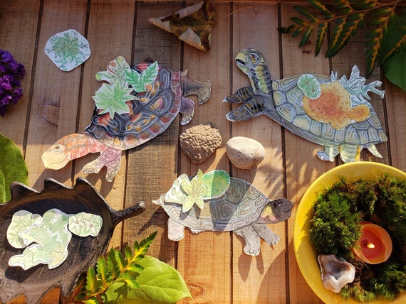 Mossy Turtle Match Printable Game | Etsy