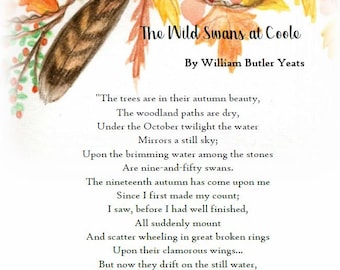 Summer Poetry and Handwriting Bundle | Etsy