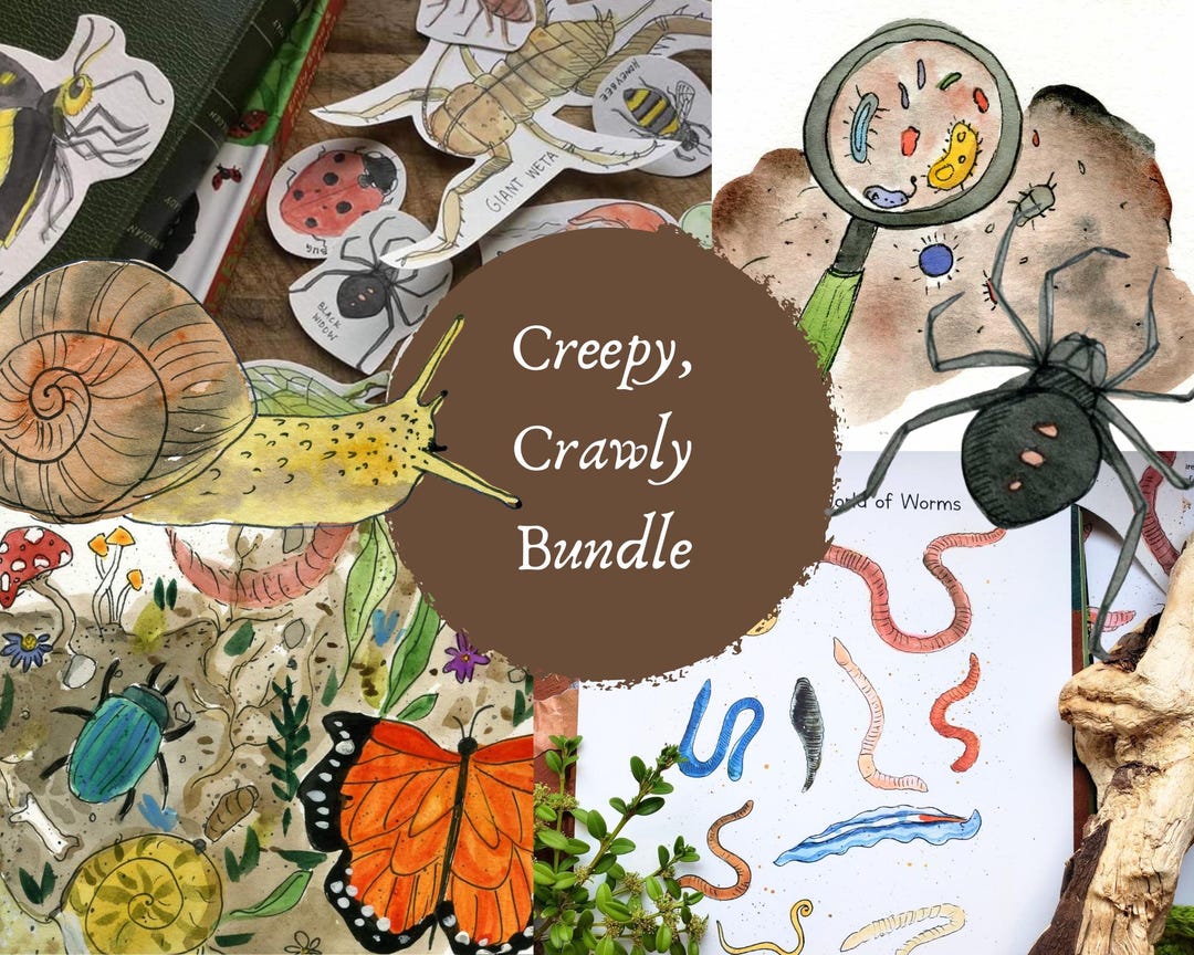 Creepy, Crawly Bundle- Worms, Bugs, Slugs, Spiders, Decomposers - Etsy