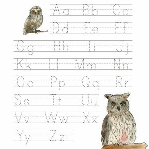Owl Learning Set - Etsy