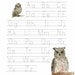 Owl Learning Set - Etsy