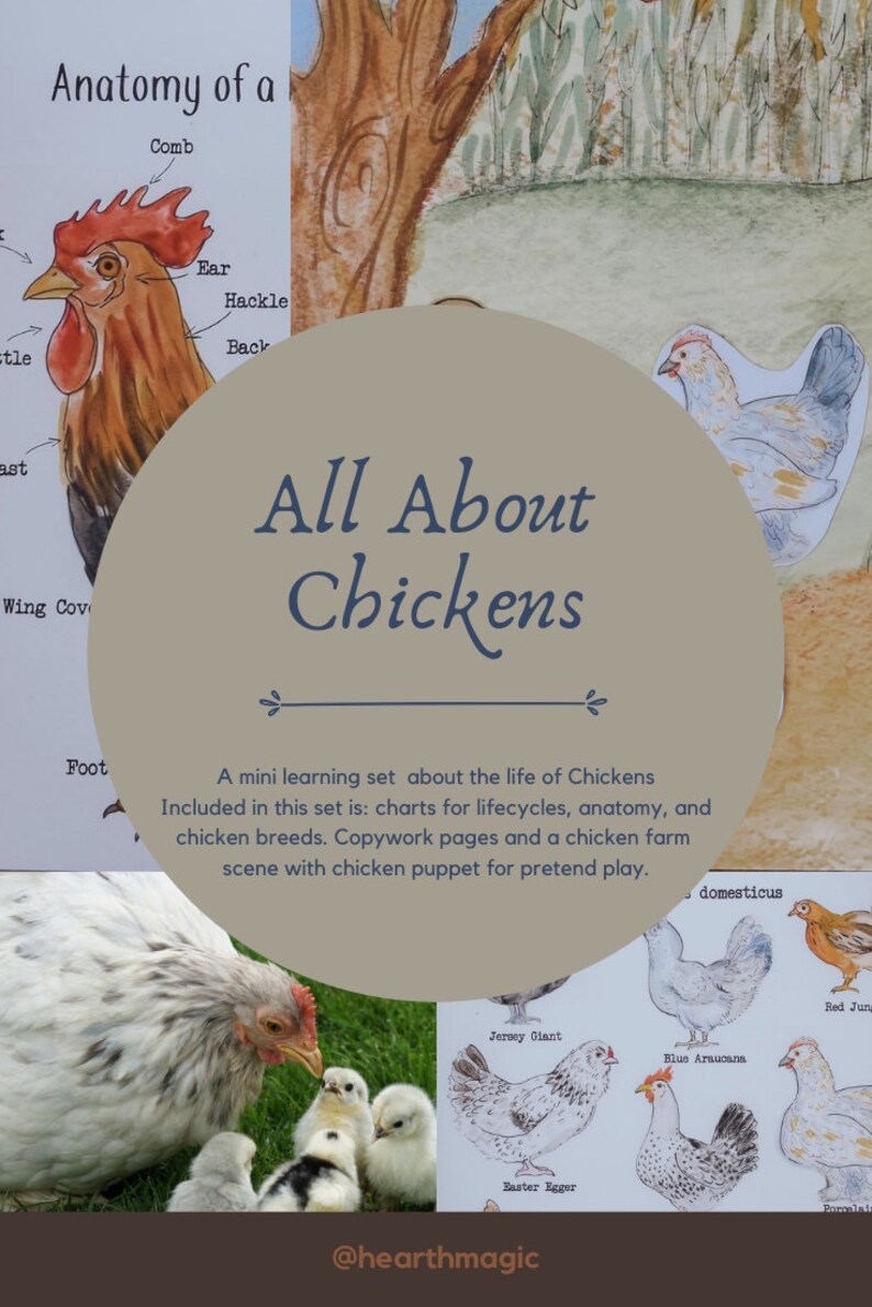All About Chickens Mini Learning Set - Etsy