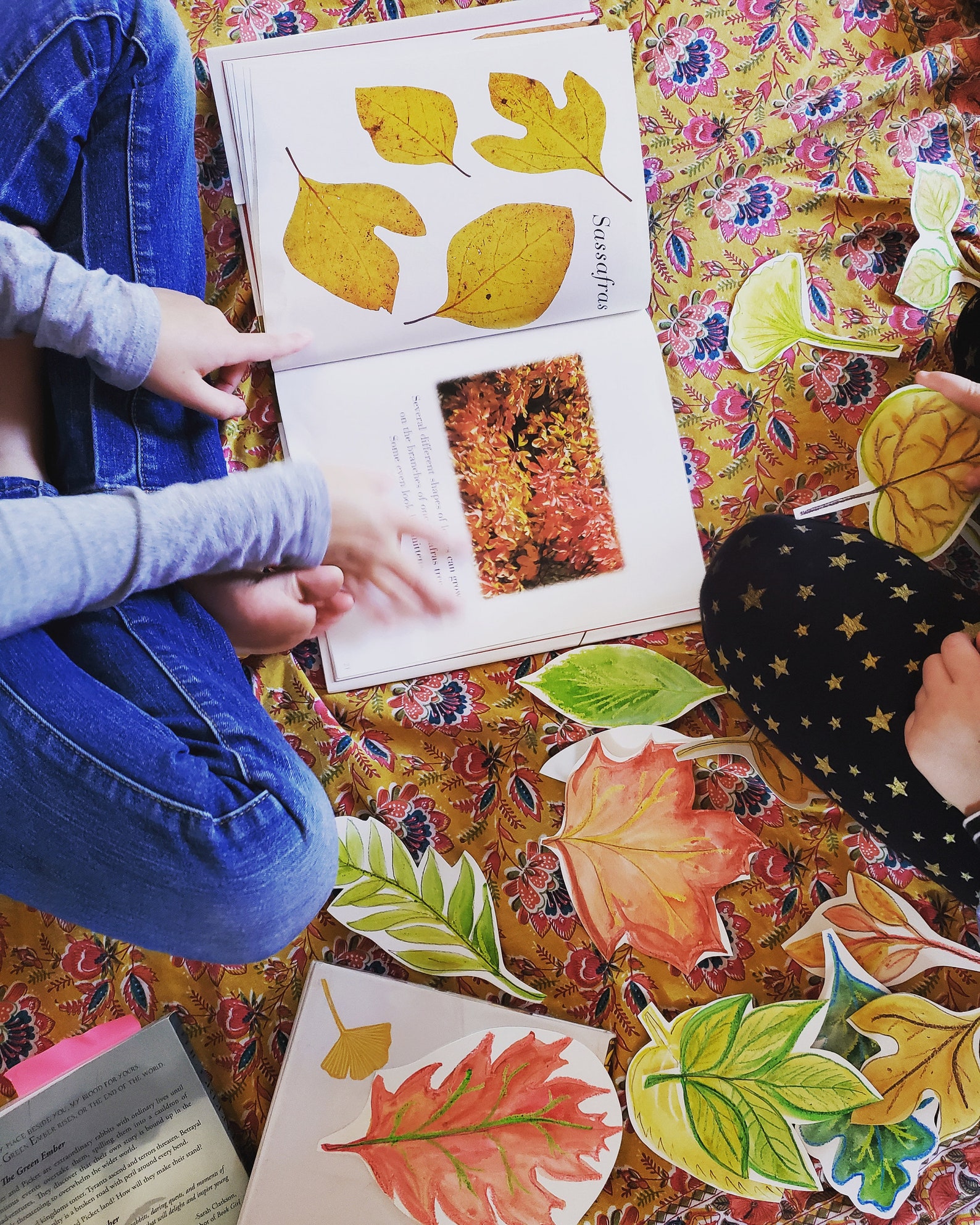 The Green Ember Family Learning Adventure Guide PDF - Etsy Canada