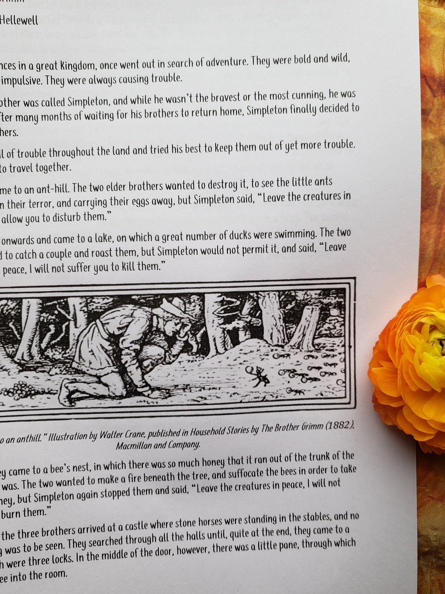 Honey Bee Learning Set and Chart | Etsy