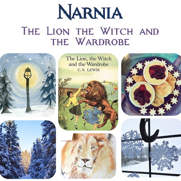 Lion Witch Wardrobe - Etsy