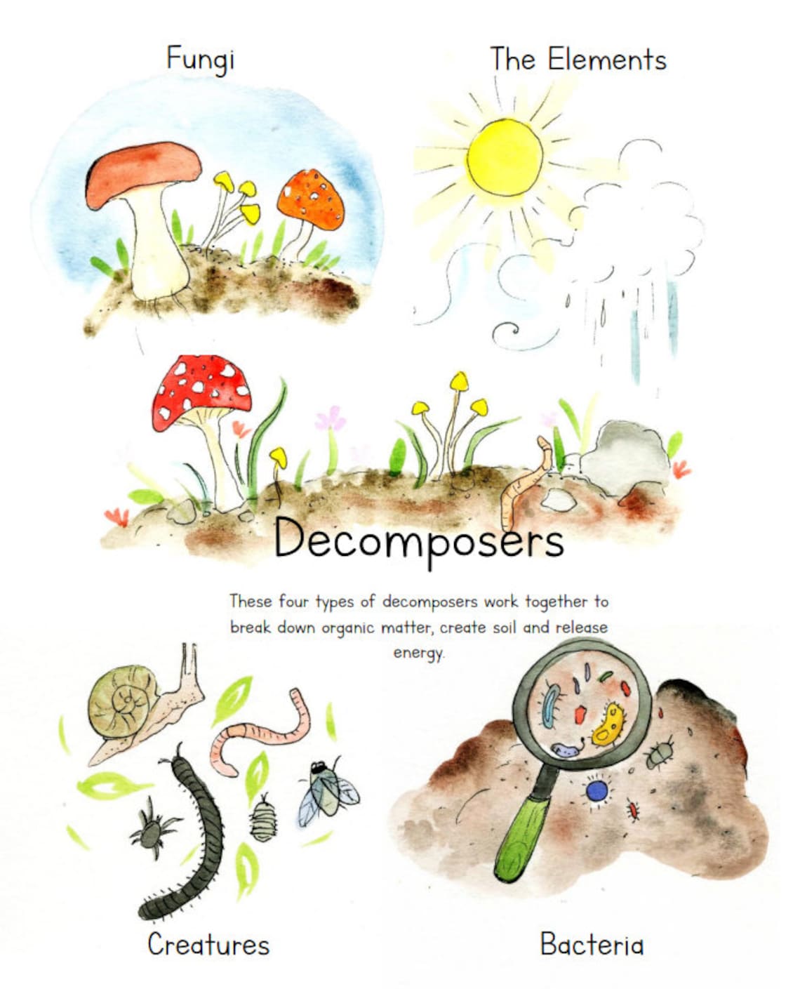 Decomposers Printable Poster - Etsy