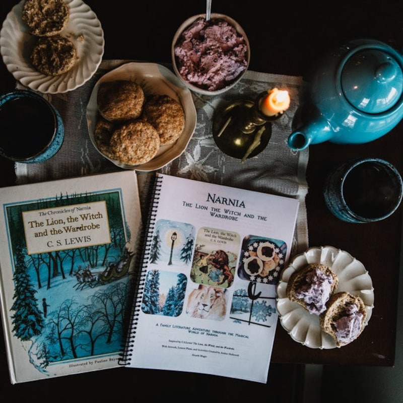 Book Chronicles of Narnia - Etsy