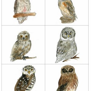 Owl Learning Set - Etsy