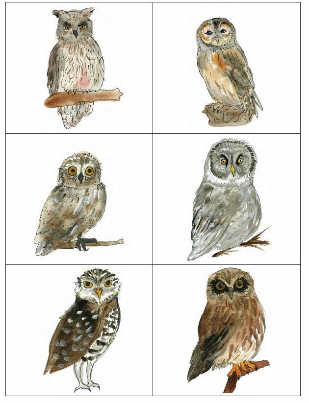 Owl Learning Set - Etsy