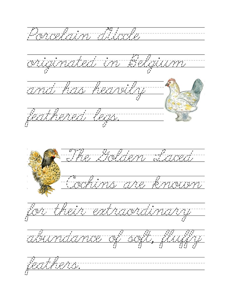 All About Chickens Mini Learning Set - Etsy