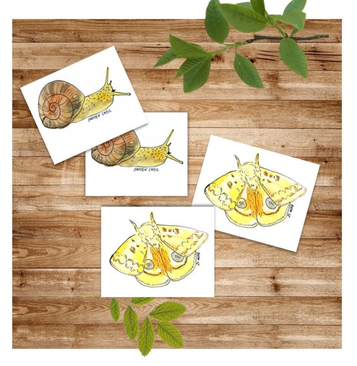 Bugs and Slugs Matching Game Catching Game Educational | Etsy