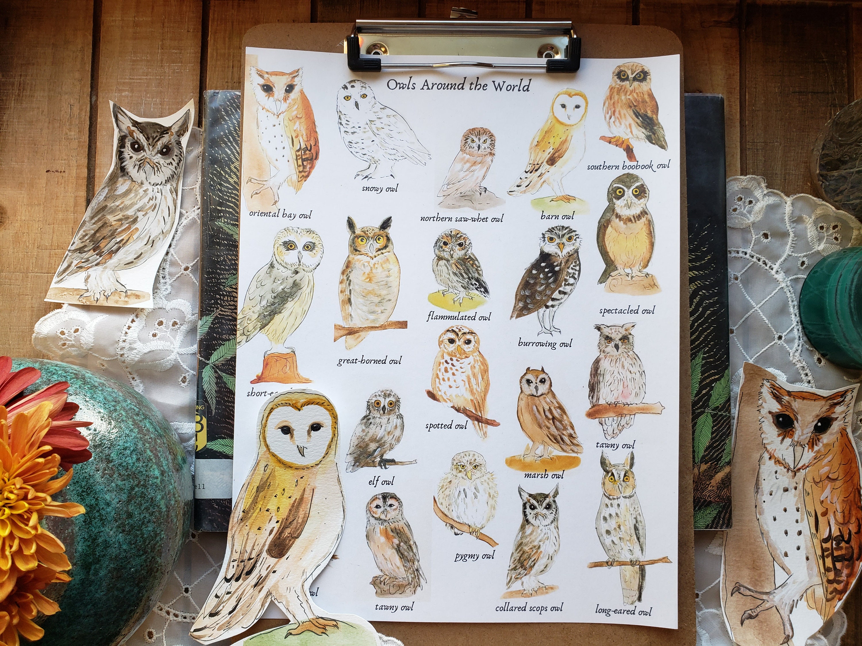 Owl Learning Set - Etsy