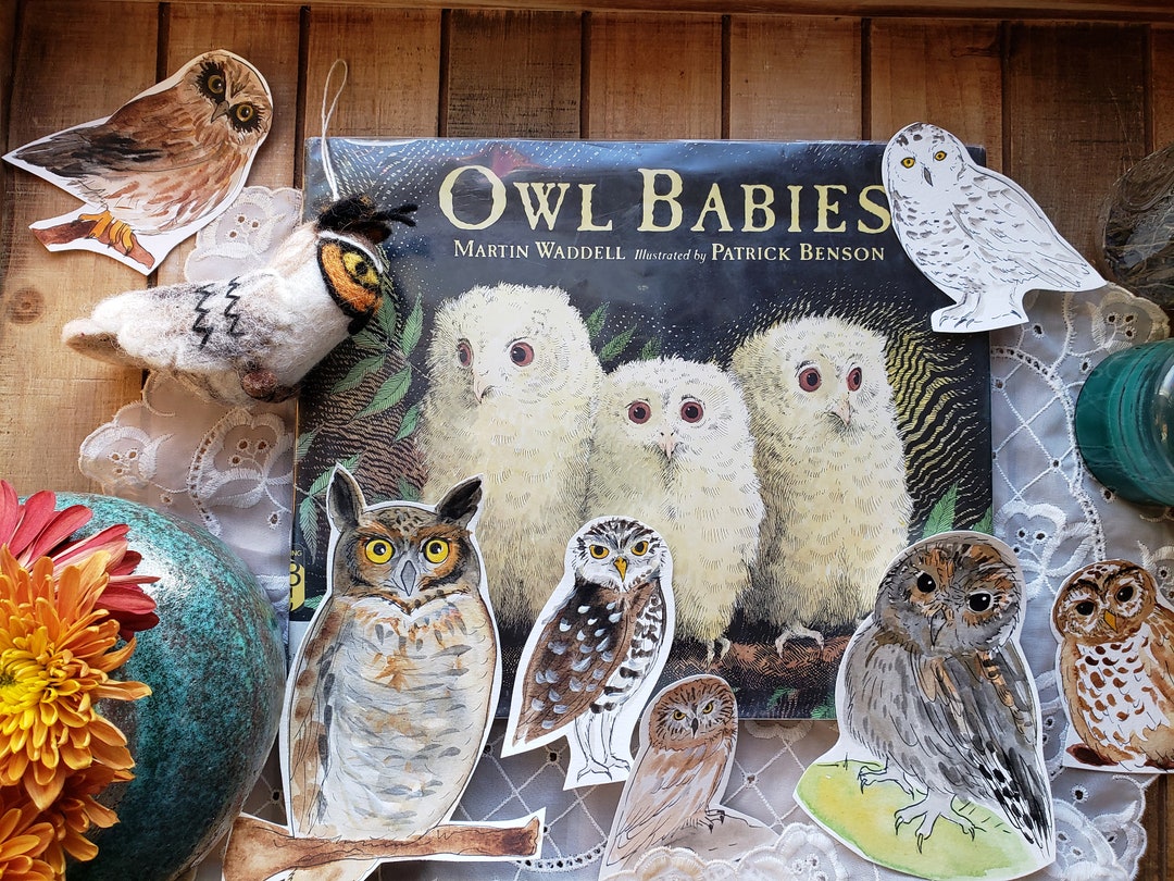 Owl Learning Set - Etsy