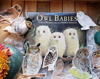 OWL Anatomy Poster and Labeling Activity Homeschool Instant - Etsy