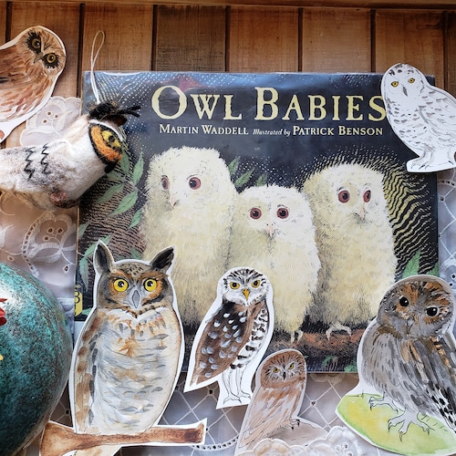 Owl Learning Set - Etsy