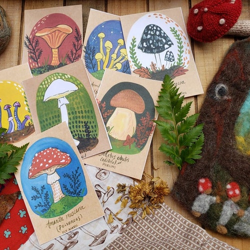 Mushroom Top Identification Cards With Matching - Etsy