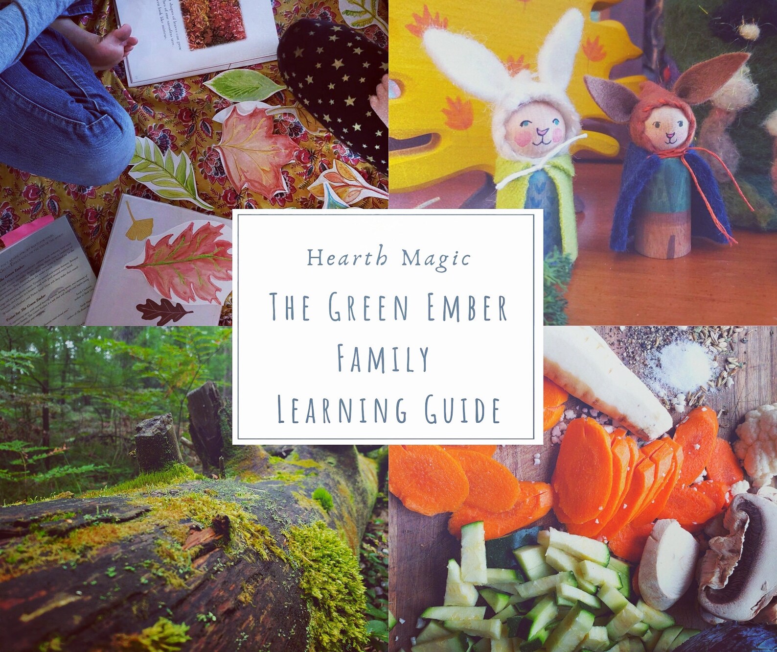The Green Ember Family Learning Adventure Guide PDF - Etsy Canada