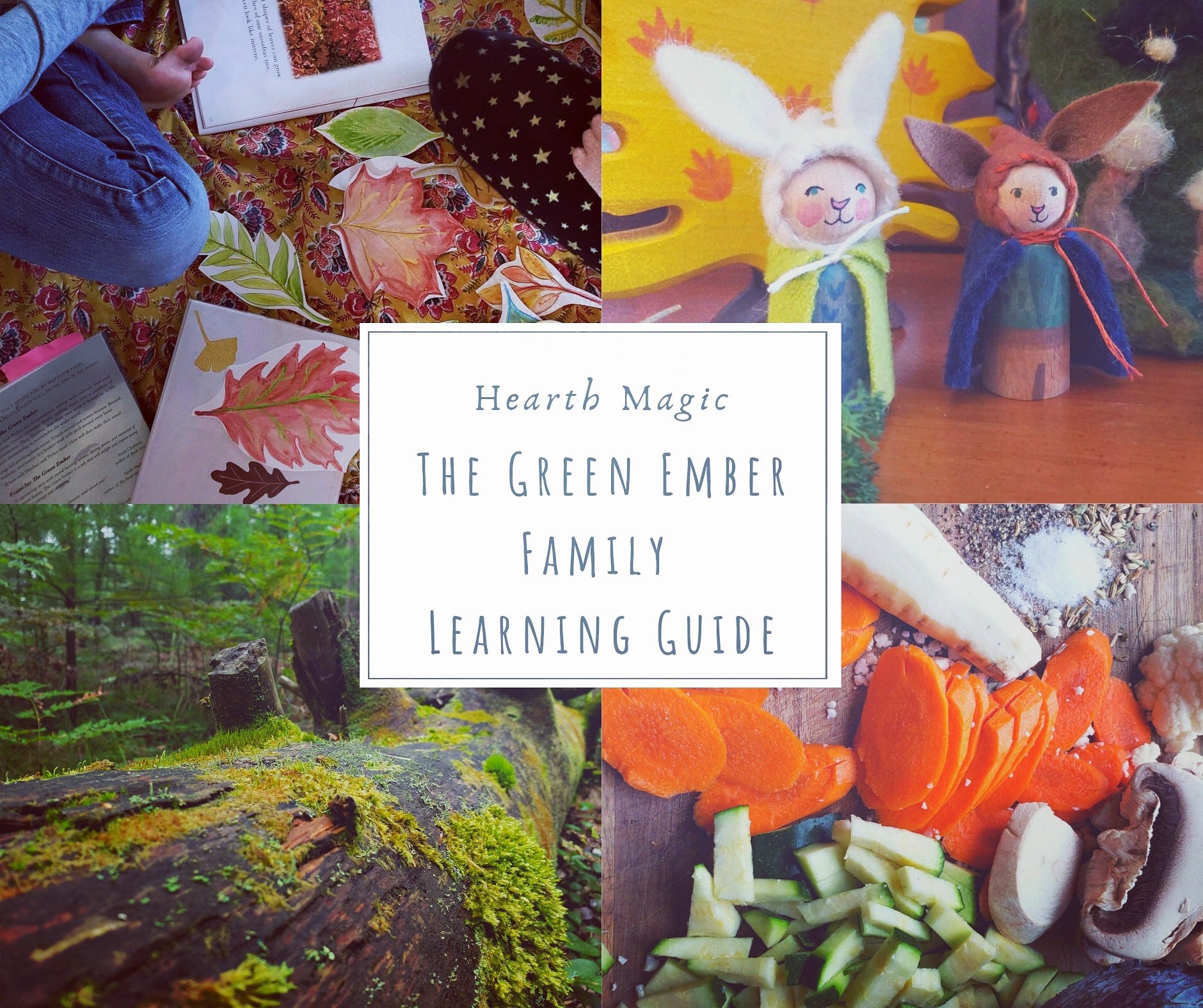 The Green Ember Family Learning Adventure Guide PDF - Etsy Canada