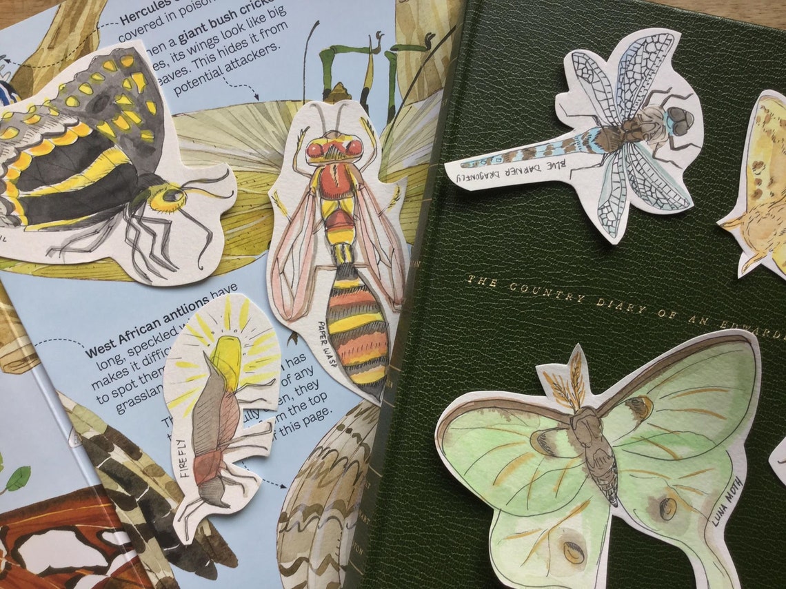 Bugs and Slugs Matching Game Catching Game Educational | Etsy