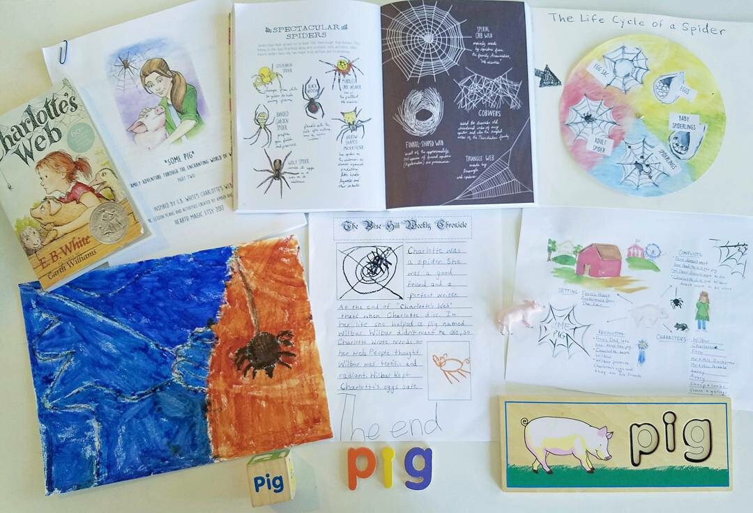 Charlotte's Web Family Learning Guide- Ready to Print! - Etsy