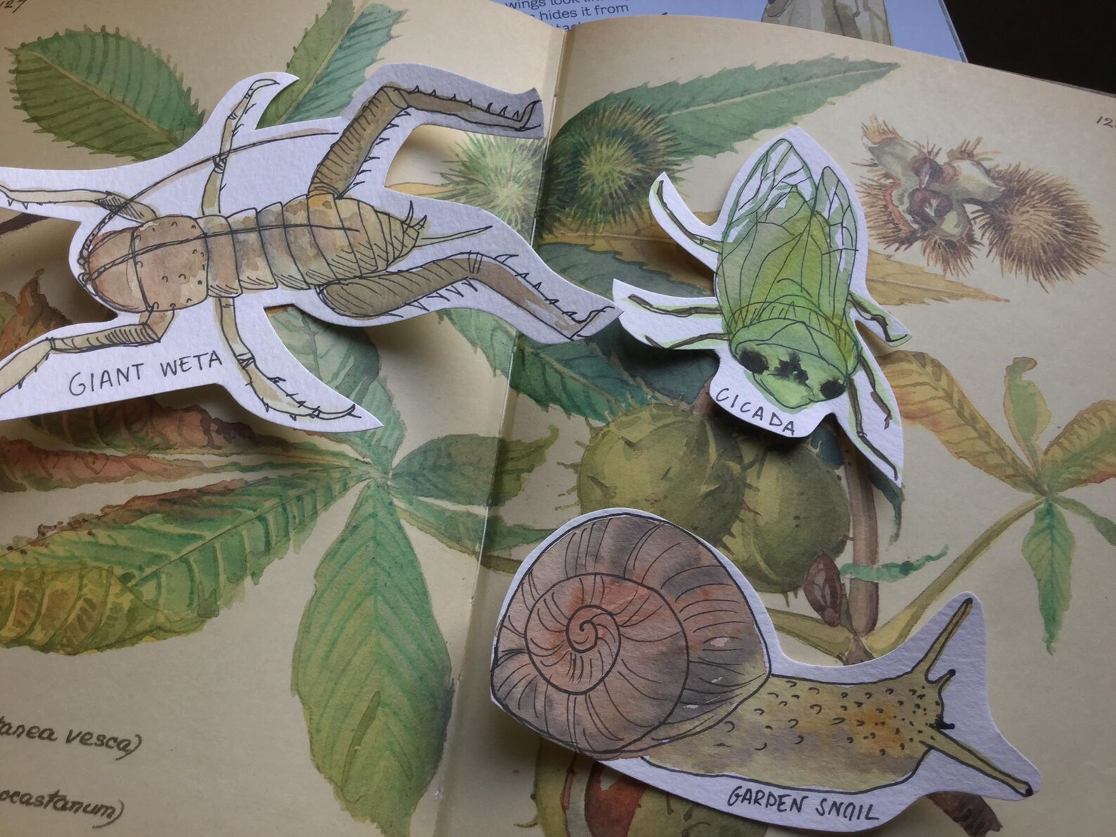 Bugs and Slugs Matching Game Catching Game Educational | Etsy