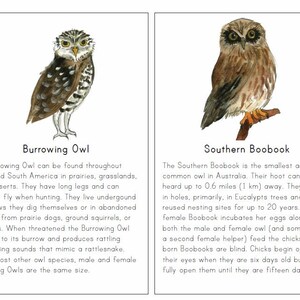 Owl Learning Set - Etsy