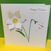 Daffodil Card - Easter Card - Mother's Day Card - Birthday Card - Paper ...