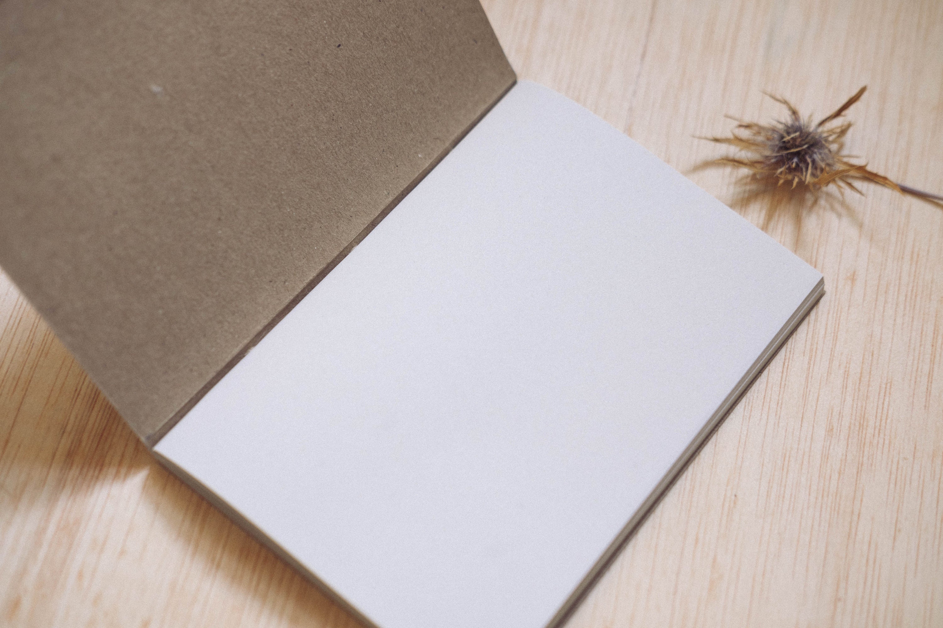 Herbarium Mediterranean Botanic Notebook , Eco Friendly Personalized ...