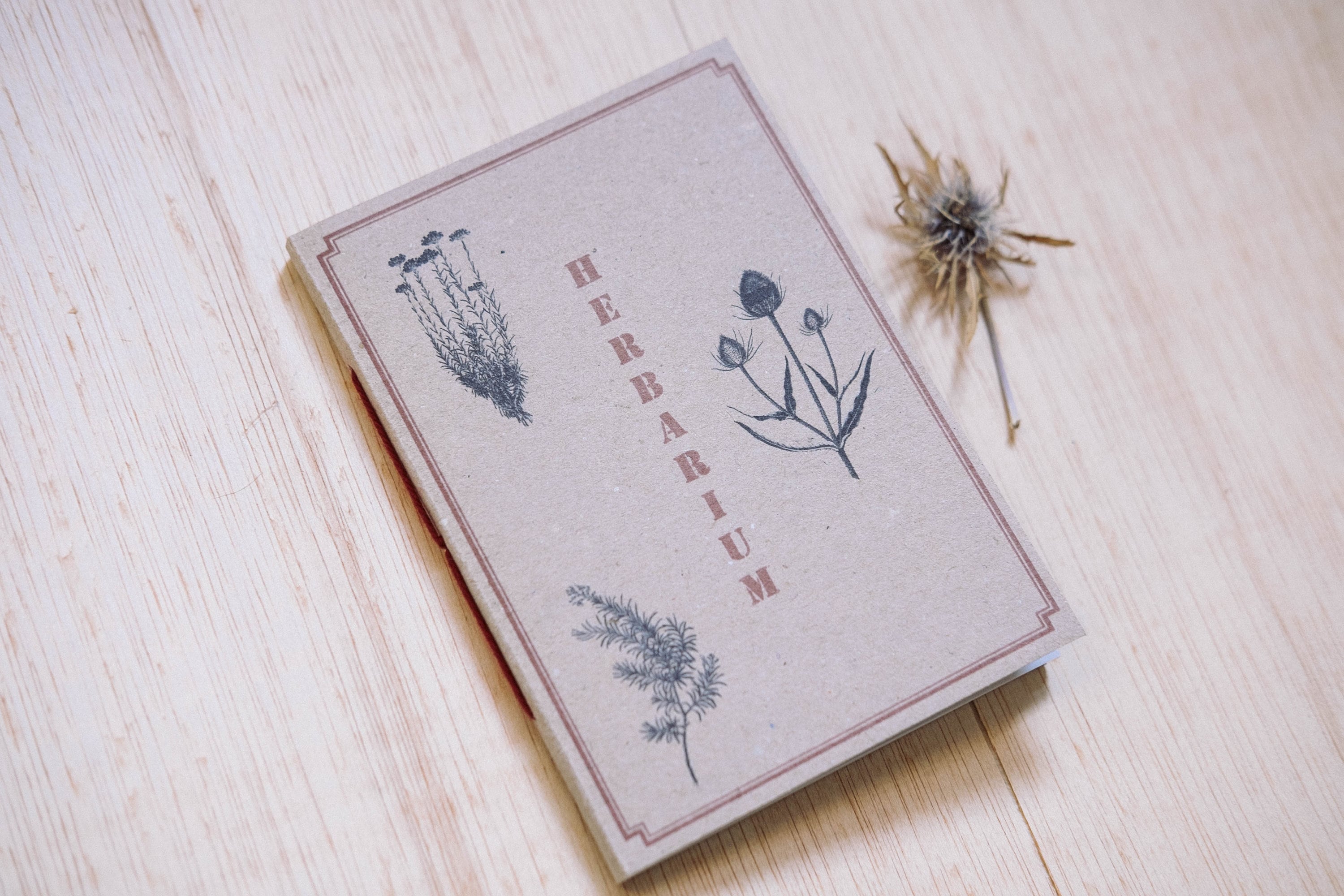 Herbarium Mediterranean Botanic Notebook , Eco Friendly Personalized ...