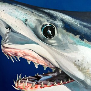 Mako Shark Painting: Original Acrylic Canvas Art (50cm X 50cm) - Etsy