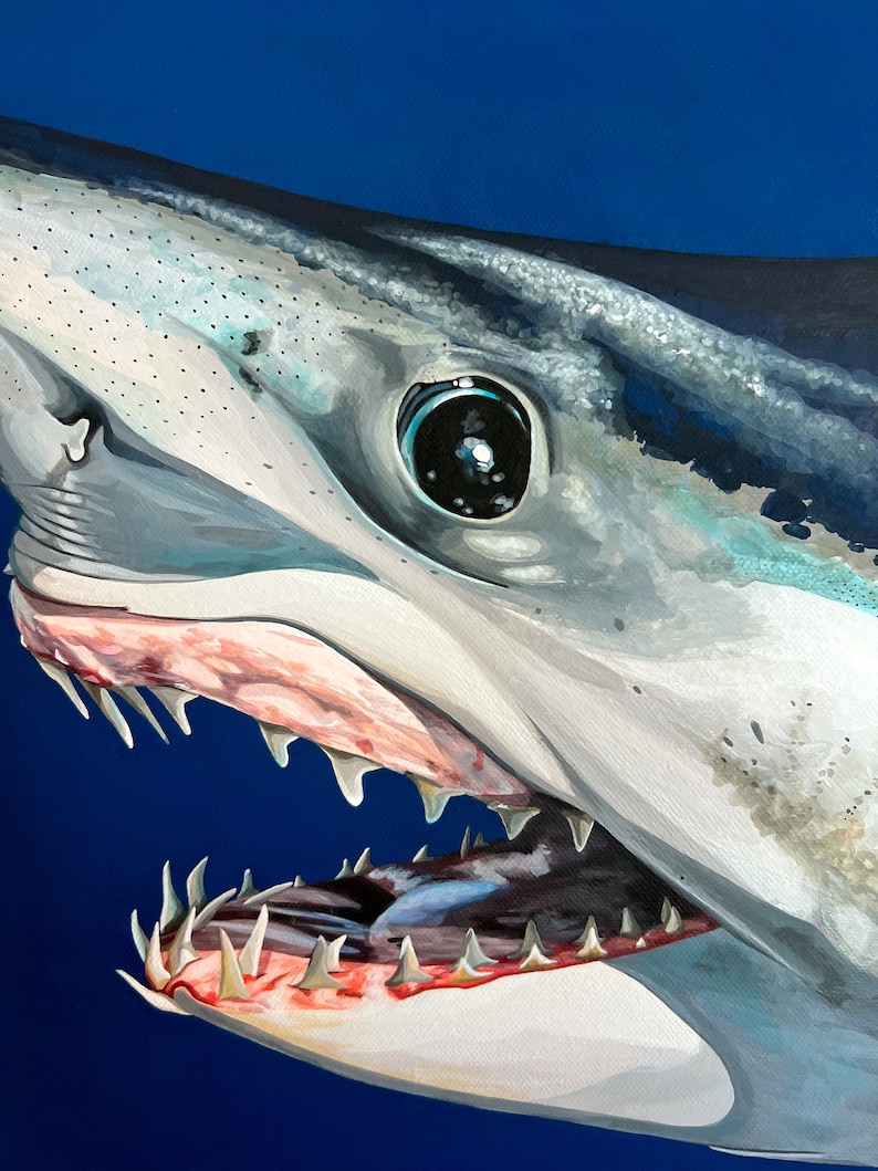 Mako Shark Painting: Original Acrylic Canvas Art (50cm X 50cm) - Etsy