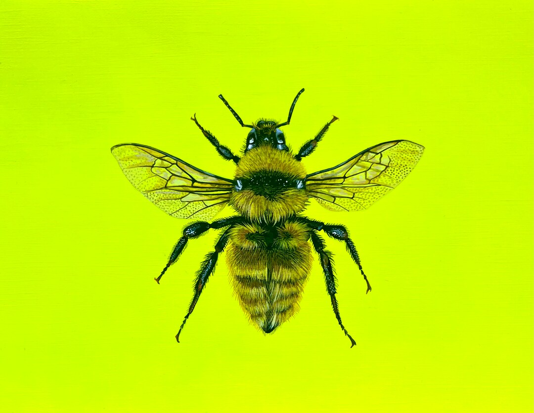 Neon Bee - Bumble Bee Acrylic Painting on Paper Size 10 X 7 Inch Insect ...